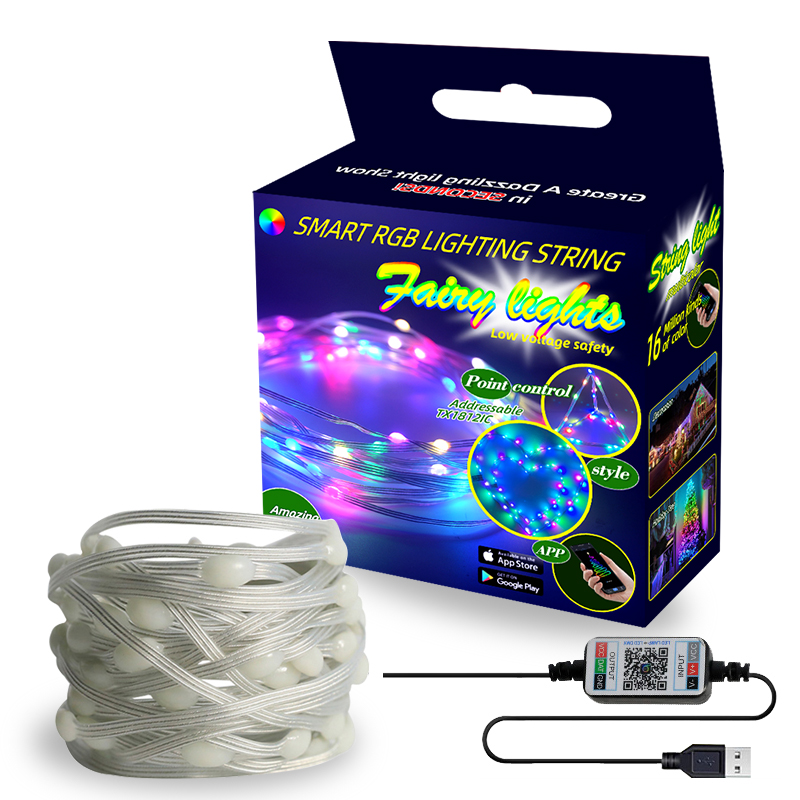 Dream color Mini led string light | RGB IC Lights